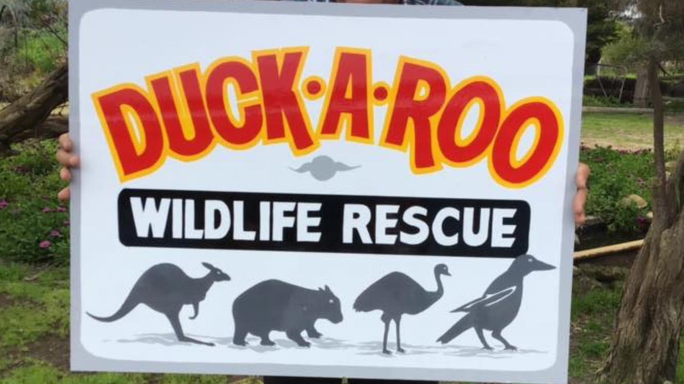 Duck-A-Roo Wildlife Sanctuary - SA Rural Women's Gathering